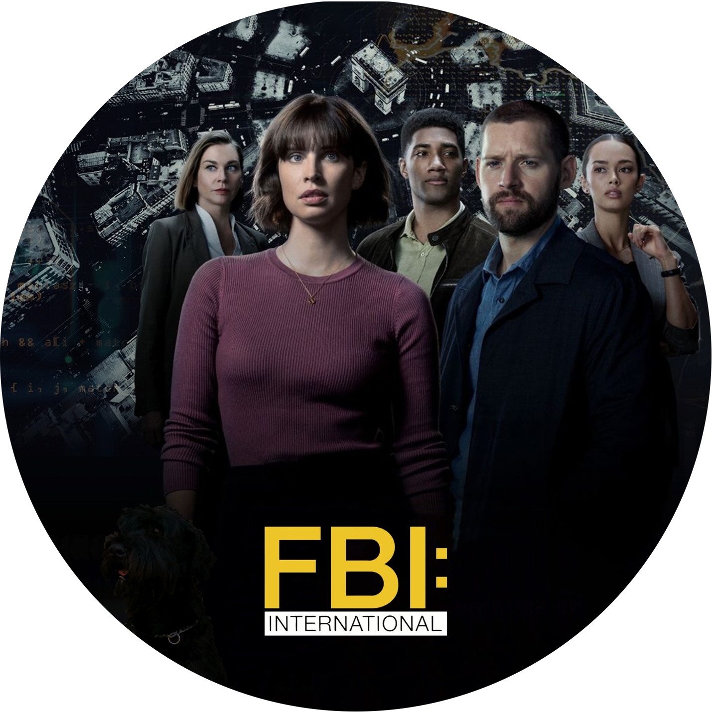 FBI インターナショナル ” の DVDラベルです | meechanmama(みーちゃんママ)の部屋