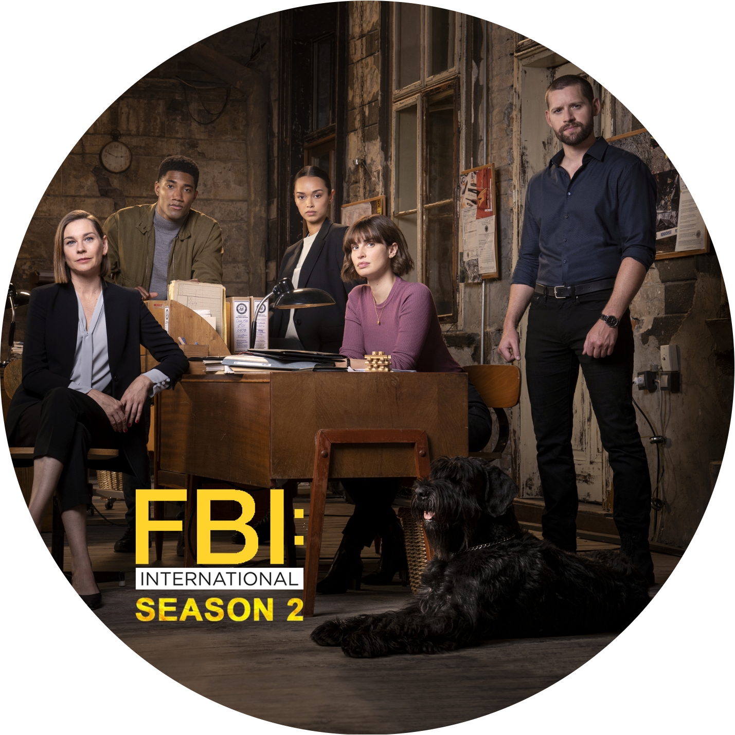 FBIインターナショナル season 2 ” の DVDラベルです | meechanmama(みーちゃんママ)の部屋